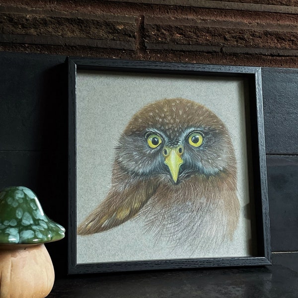 Pygmy Owl - Etsy