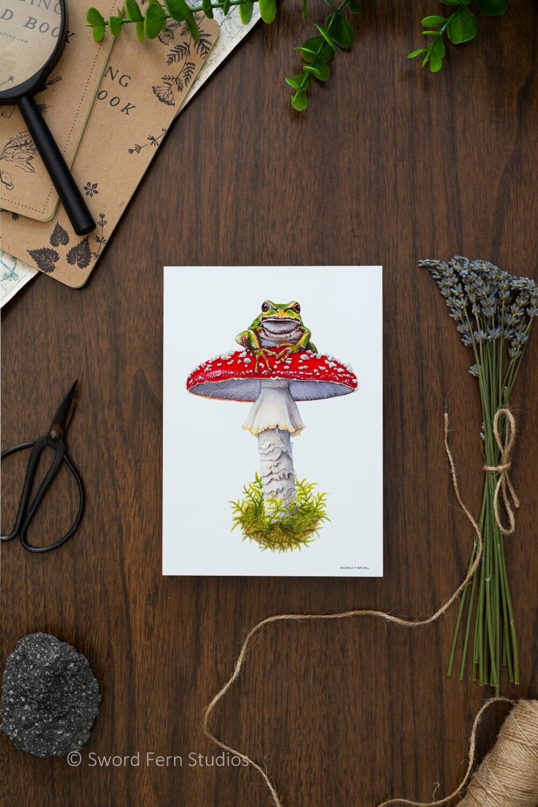 Tree Frog & Toadstool Print, Frog and Mushroom Watercolor - Etsy