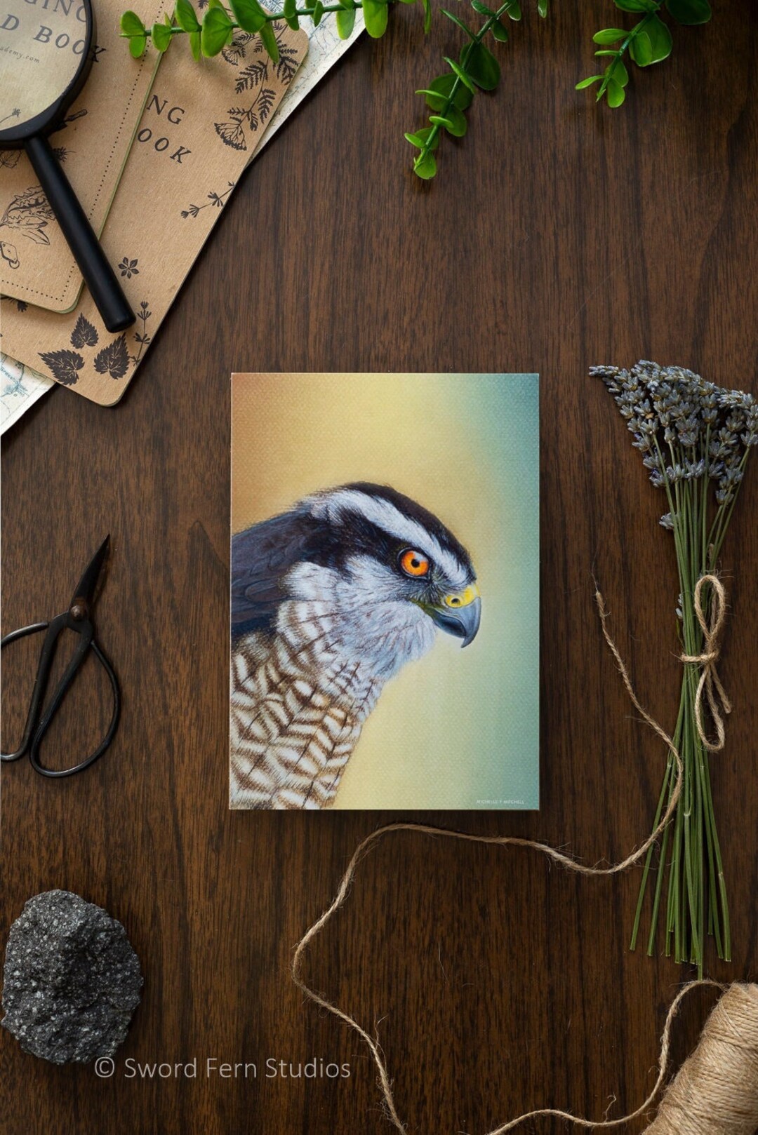 Northern Goshawk Art Print, Bird of Prey Illustration - Etsy