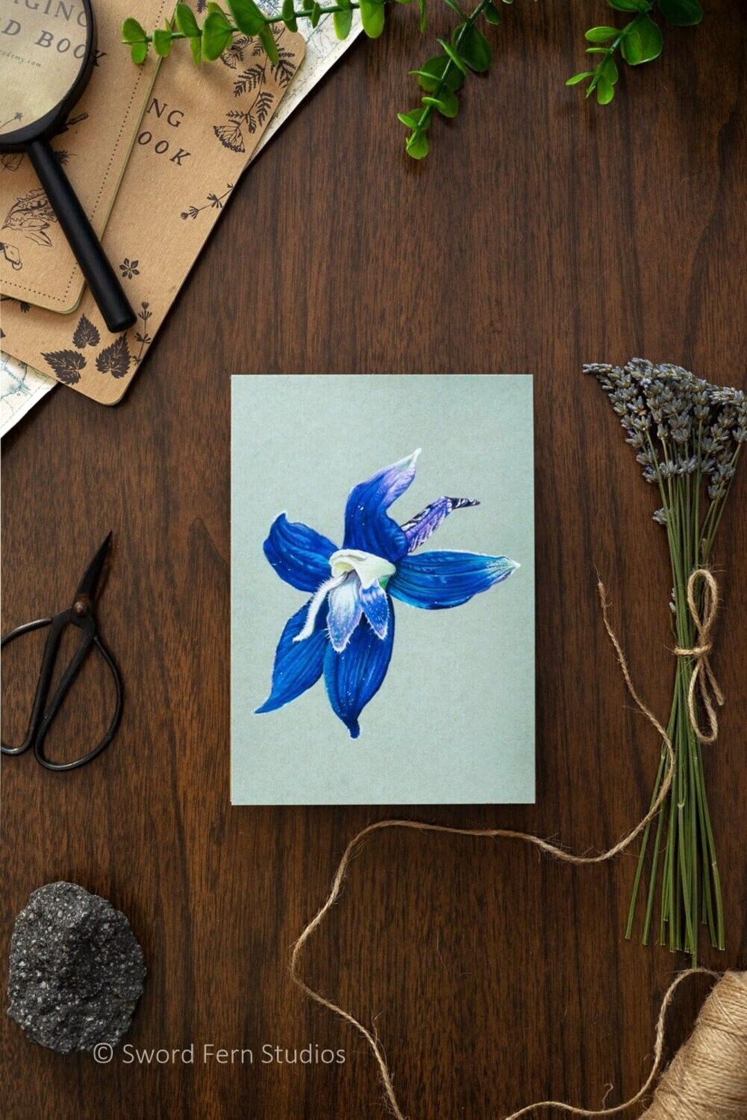 Larkspur Flower Print, Vintage Style Wildflower Art, Delphinium ...