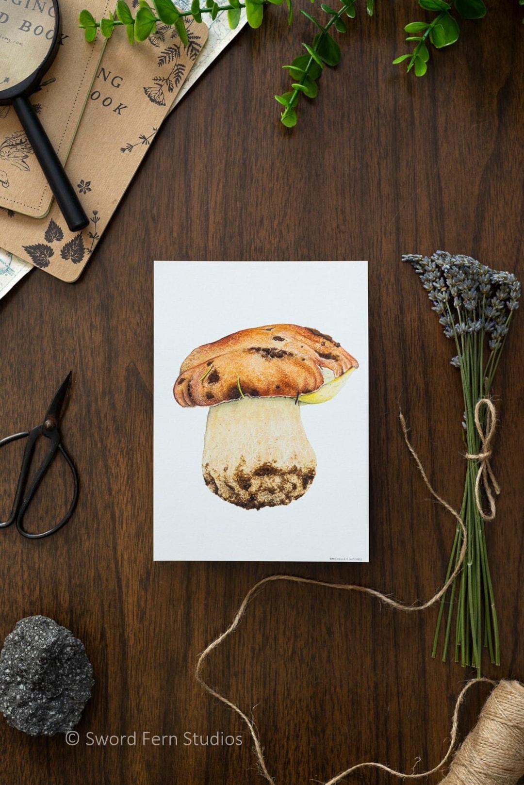 Spring King Bolete Mushroom Print, Watercolor Painting - Etsy