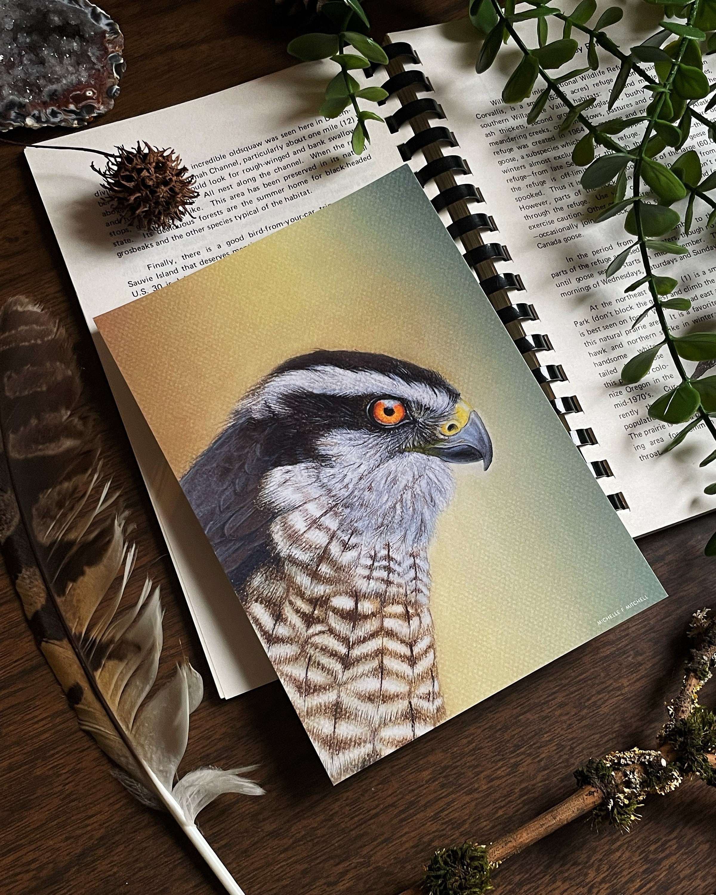 Goshawk Art Print, Bird Art , Drawing, Art Print, Wall Art ...