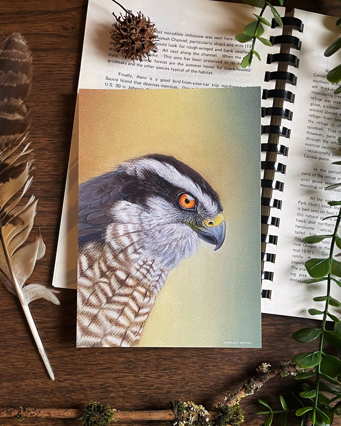 Goshawk Art Print, Bird Art , Drawing, Art Print, Wall Art ...