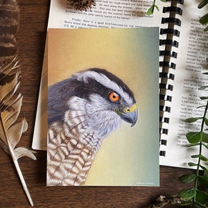 Goshawk Art Print, Bird Art , Drawing, Art Print, Wall Art ...