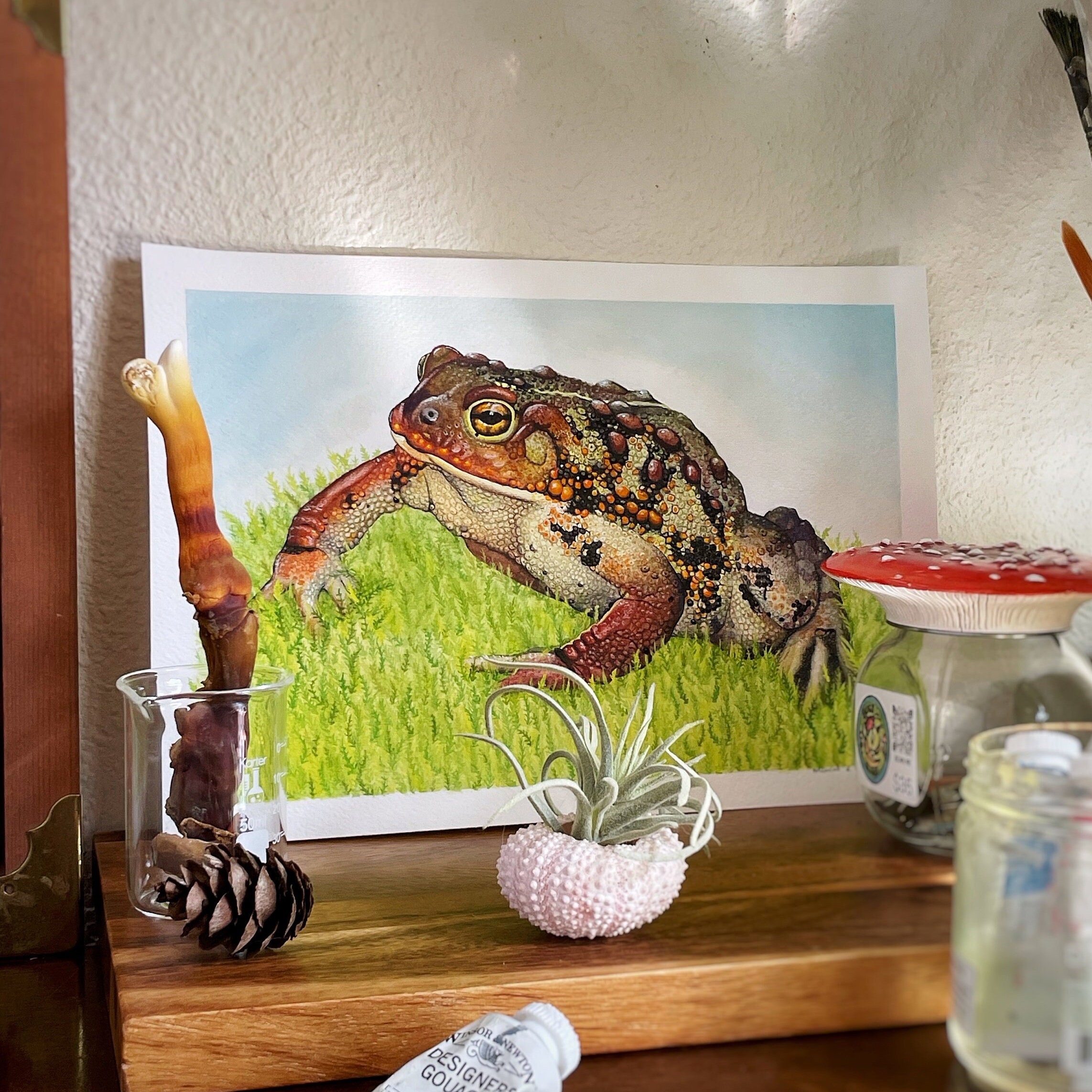 Western Toad Sticker, Whimsical Watercolor Toad Vinyl Decal, Forest ...