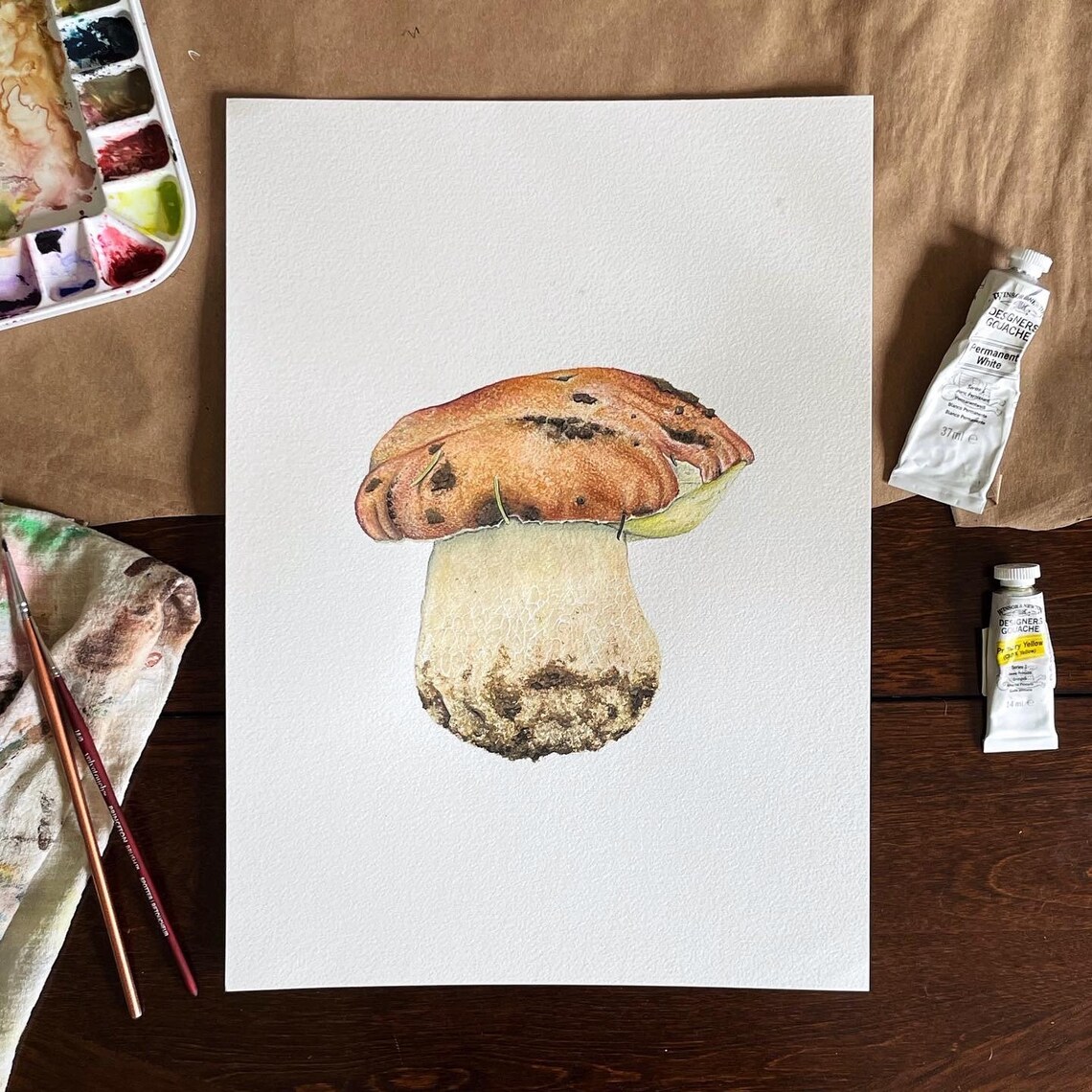 Bolete Print, Spring King Bolete , Mushroom Wall Art , Watercolor ...