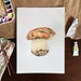Bolete Print, Spring King Bolete , Mushroom Wall Art , Watercolor ...