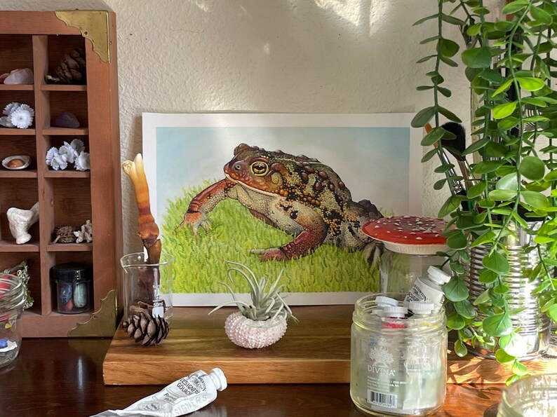Western Toad Sticker, Whimsical Watercolor Toad Vinyl Decal, Forest ...