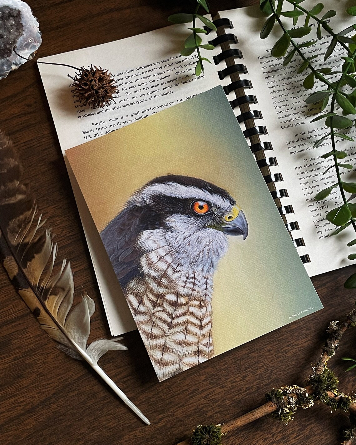 Goshawk Art Print, Bird Art , Drawing, Art Print, Wall Art ...