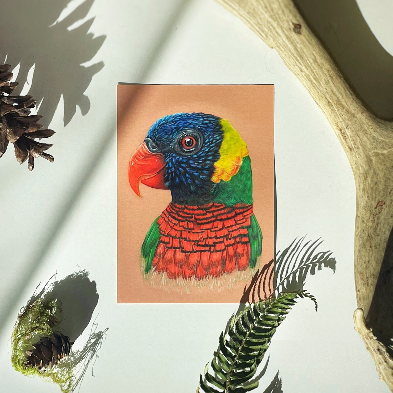Rainbow Lorikeet Art Print, Bird Art , Drawing, Art Print, Wall Art ...