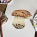 Bolete Print, Spring King Bolete , Mushroom Wall Art , Watercolor ...