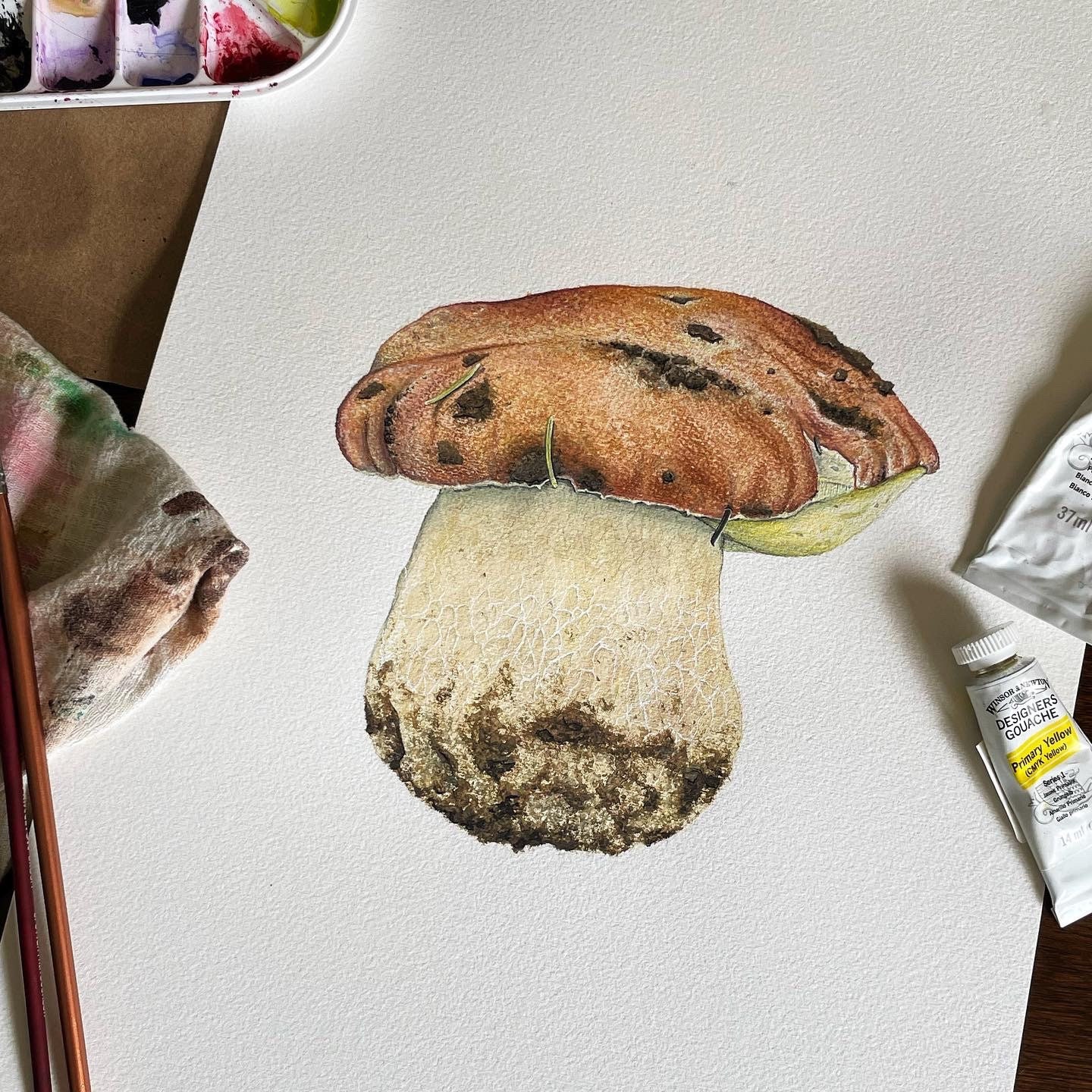Bolete Print, Spring King Bolete , Mushroom Wall Art , Watercolor ...