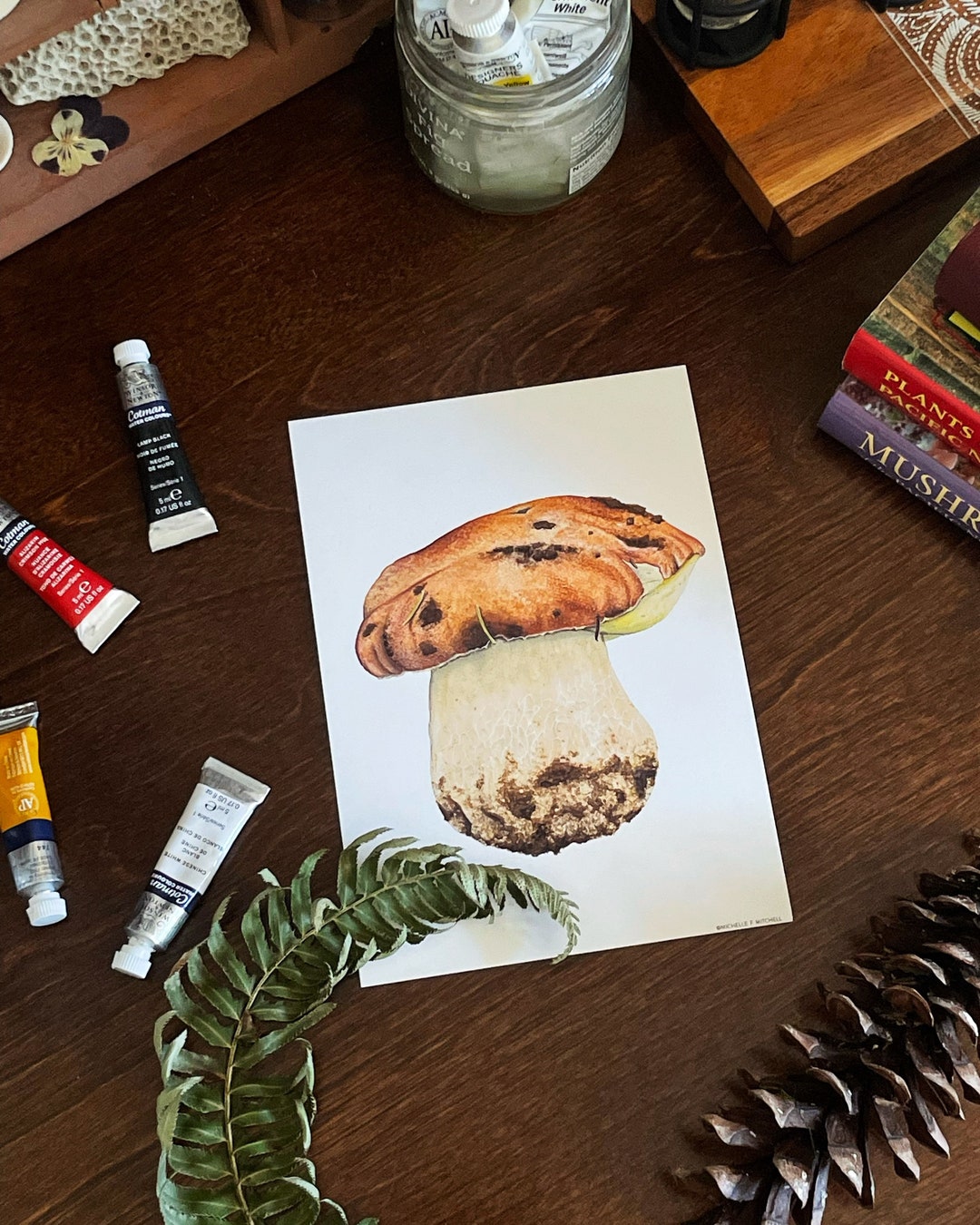 Bolete Print, Spring King Bolete , Mushroom Wall Art , Watercolor ...