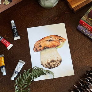 Spring King Bolete Mushroom Watercolor Print, PNW Botanical Art - Etsy