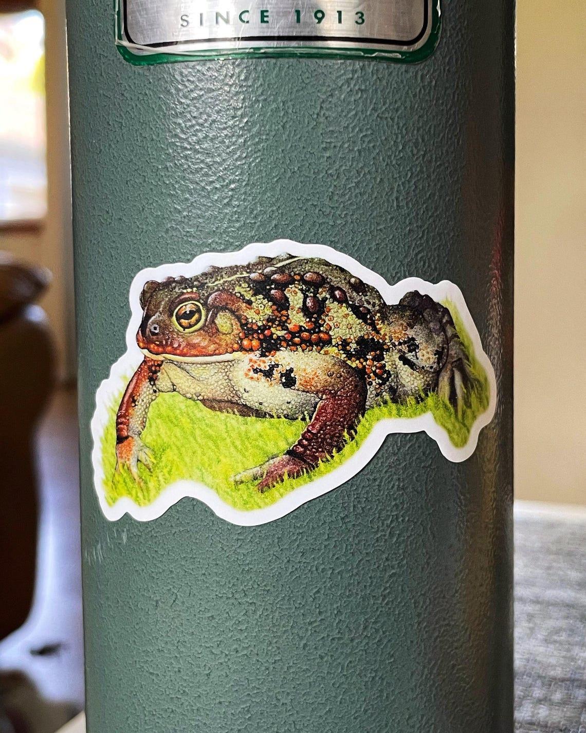 Western Toad Sticker, Whimsical Watercolor Toad Vinyl Decal, Forest ...