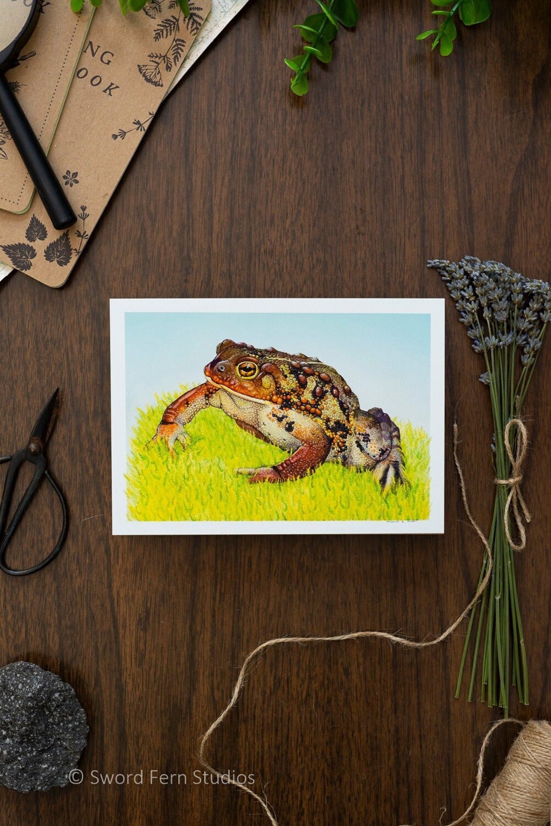 Western Toad & Moss Art Print: PNW Nature Painting - Etsy
