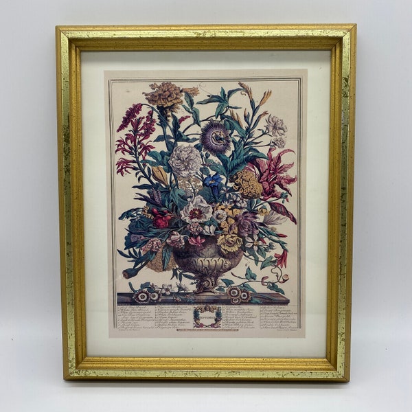 Robert Furber 12 Months of Flowers - Etsy