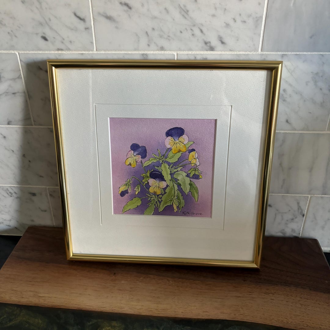 Original Framed and Signed Watercolour and Ink Painting of Pansey ...