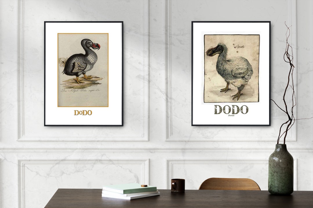 Dodo, Dodo Bird, Digital Download Dodo, Bird, Wall Art Dodo, Interior ...