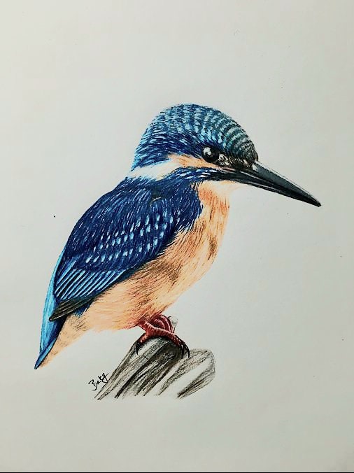 Original Drawings With Colored Pencils by Me - Etsy