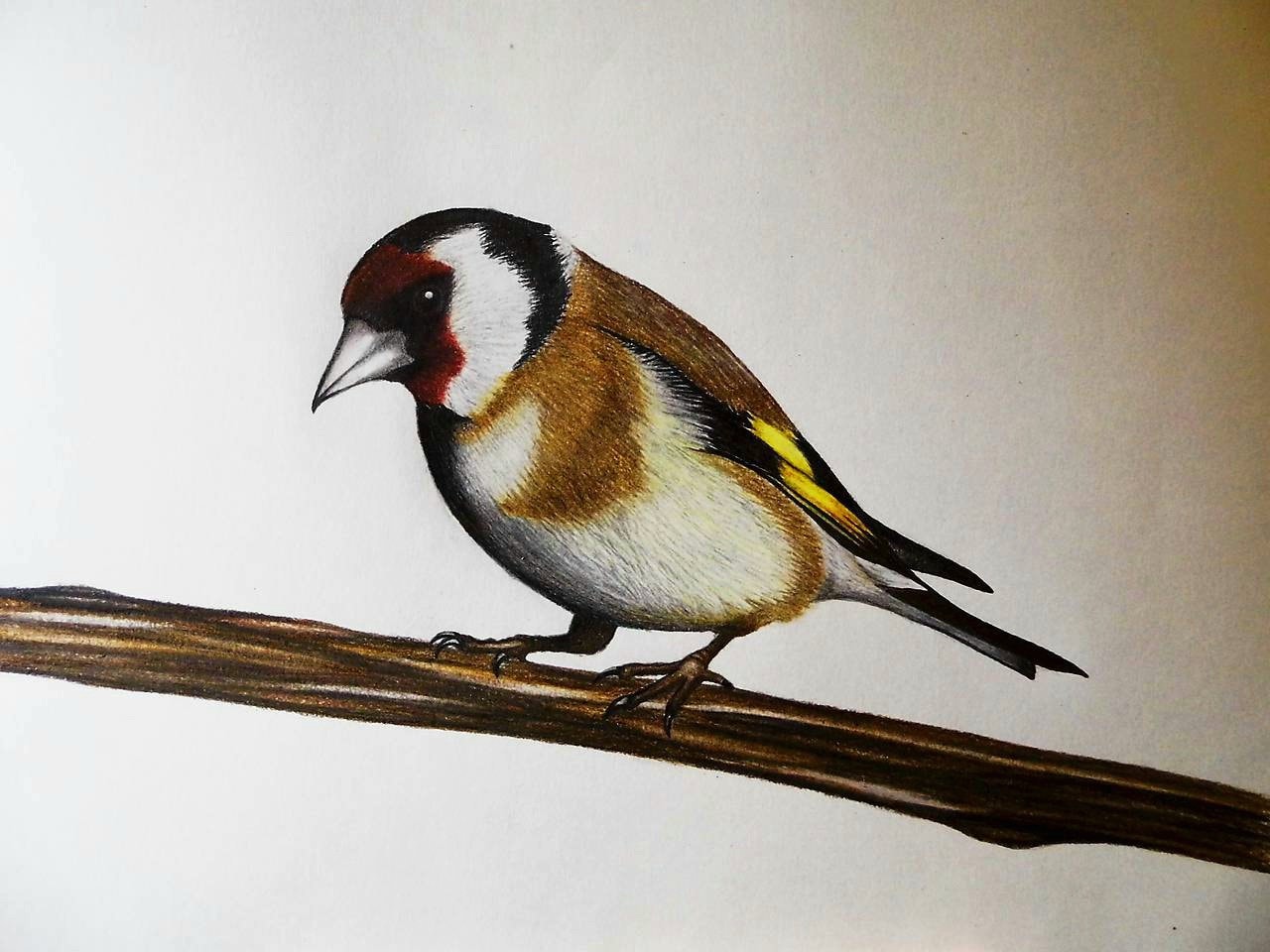 Original Drawings With Colored Pencils by Me - Etsy