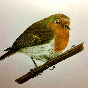 Original Drawings With Colored Pencils by Me - Etsy