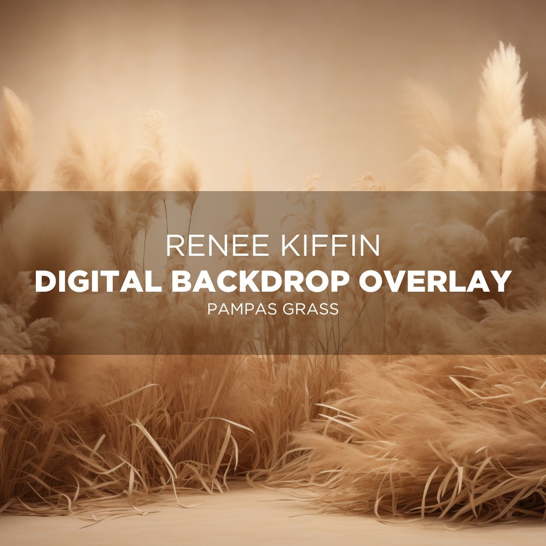 Pampas Grass Digital Backdrop Overlay| Perfect for Studio Portraits - Etsy