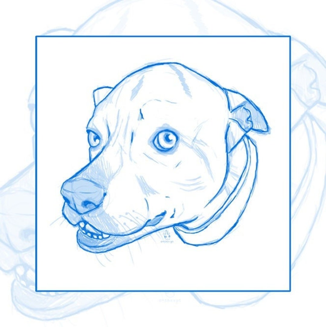 Pet Portraits Pet Headshots Pet Memorial Personally Made Art ...