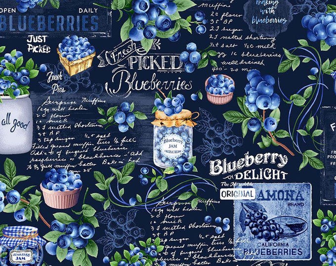 Blueberry Fruit- CD1744 Navy - Timeless Treasures - Etsy