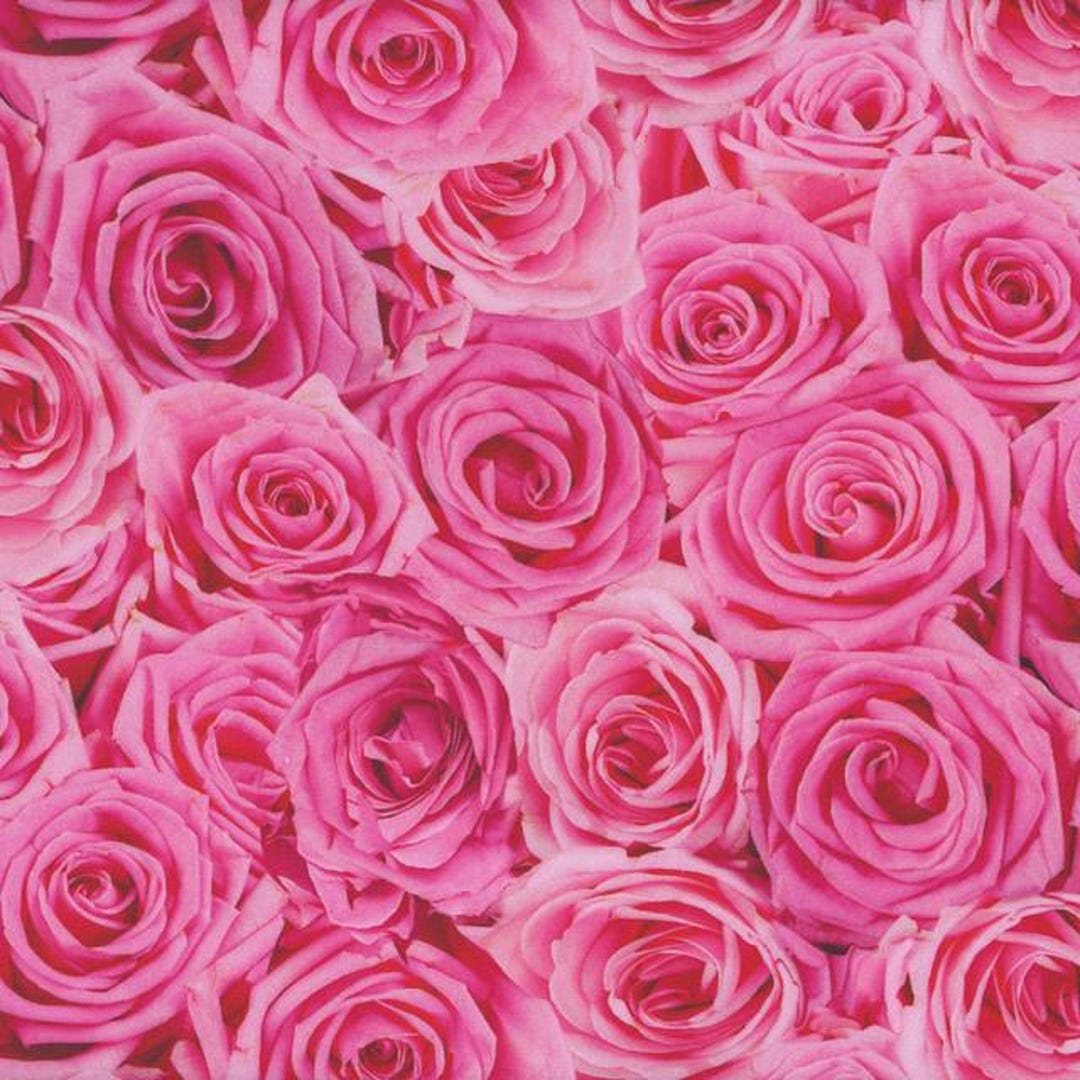 Bellerose- CD3143 - Fuchsia Packed Roses- Timeless Treasures - Etsy