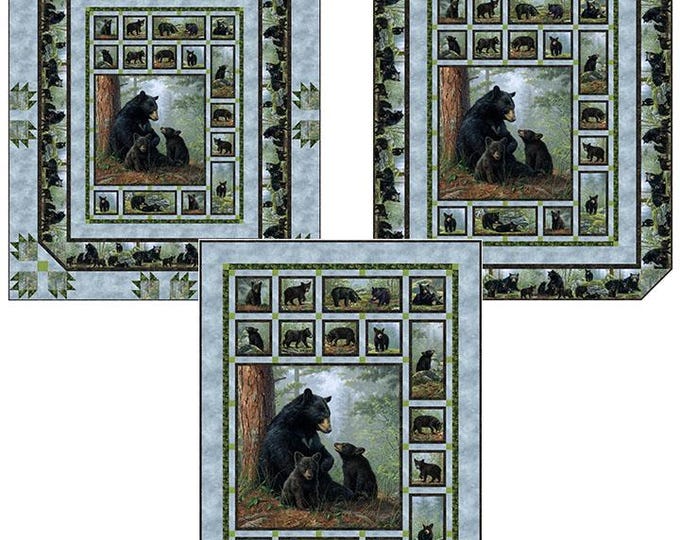 Bear Hugs Twin Quilt Kit- Whimsical Workshop-75.75"x89.75"-featuring ...