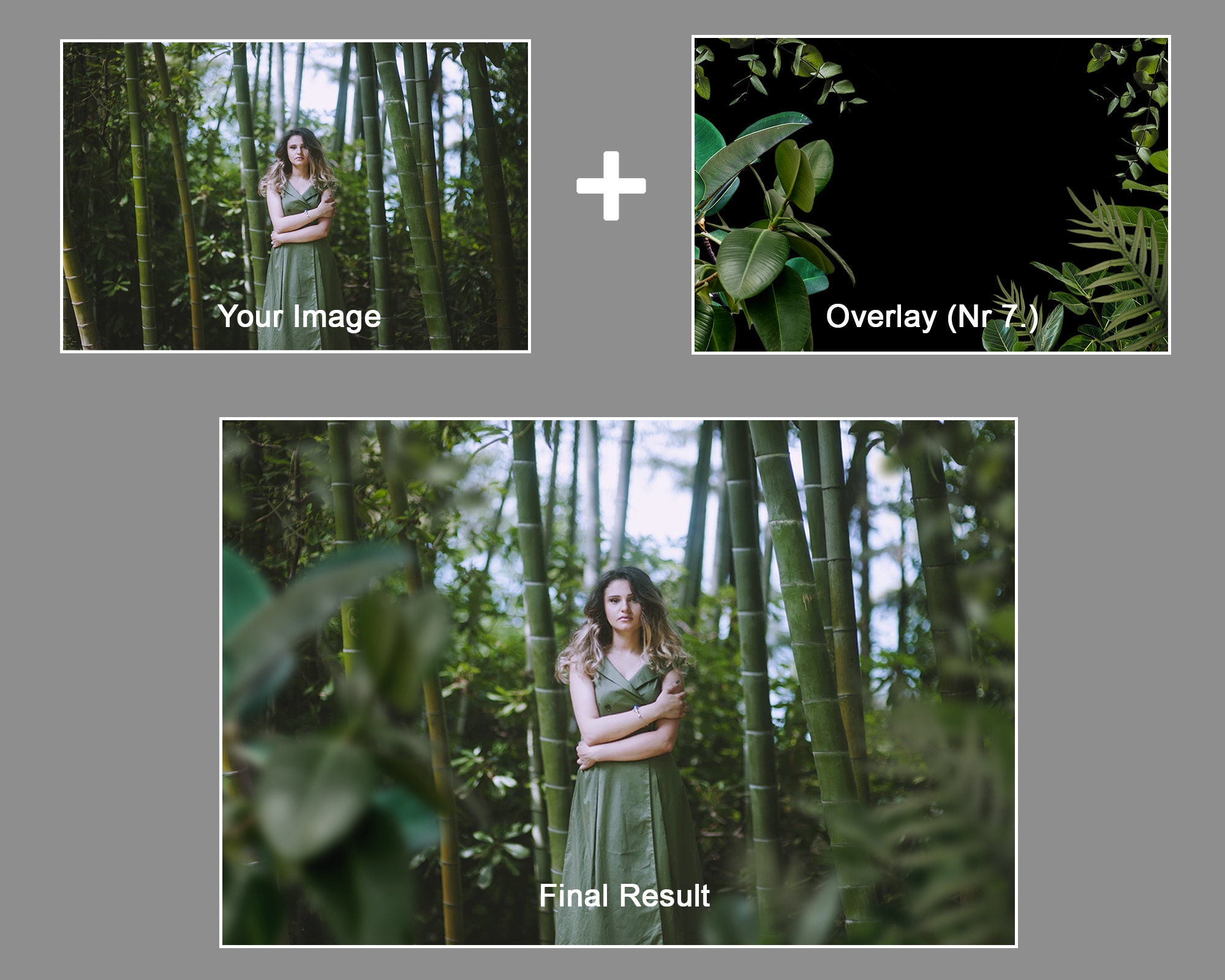 10 Branch Overlays Leave Overlay Tree Overlay Forest | Etsy