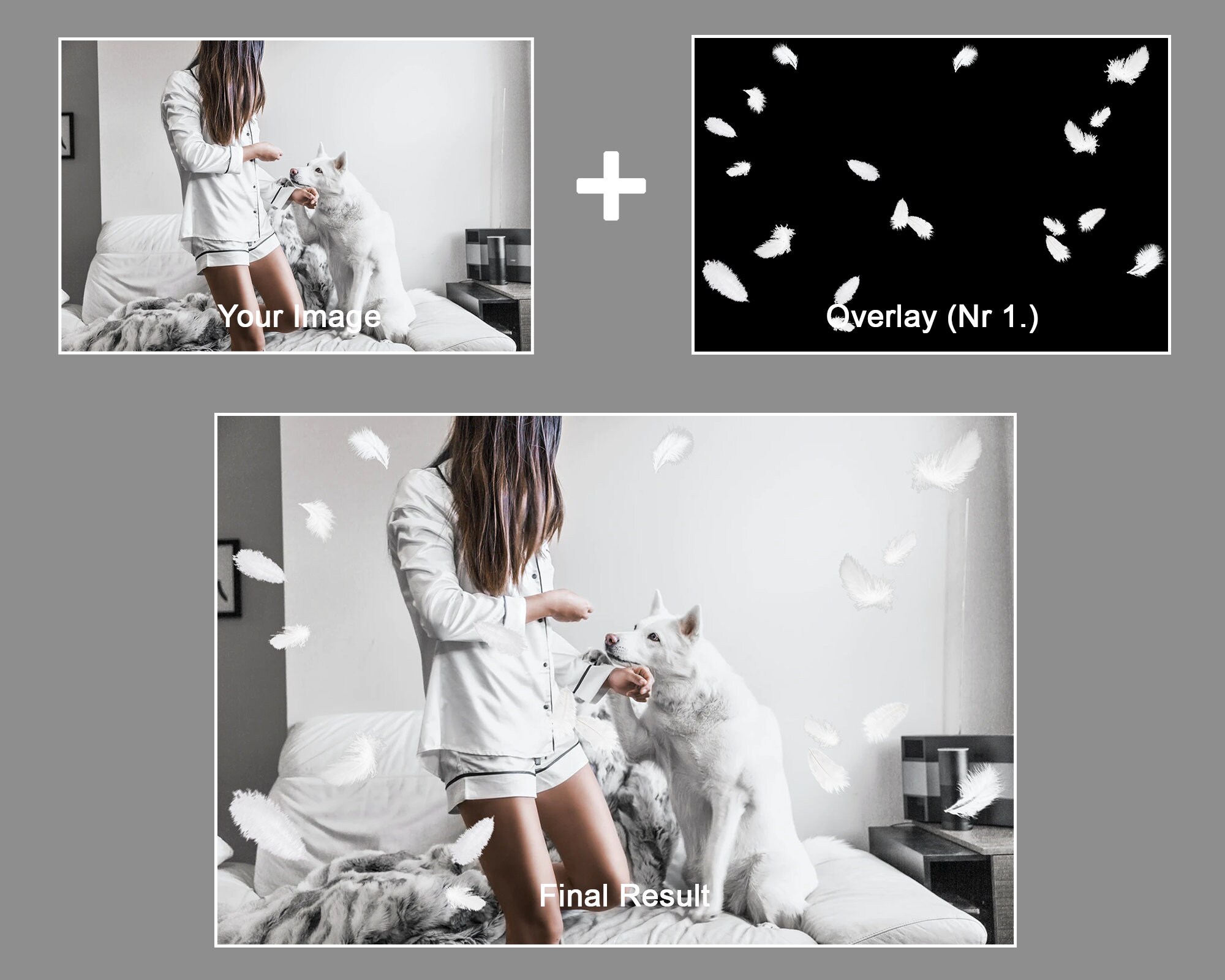 10 Feather Overlays Angel Overlays Flying Feather Overlay | Etsy