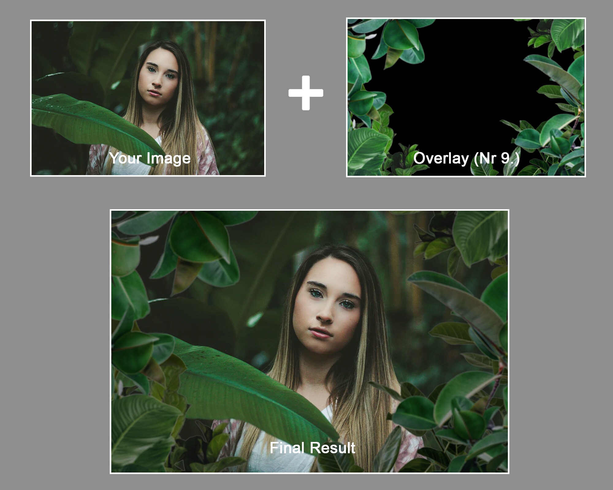 10 Branch Overlays Leave Overlay Tree Overlay Forest | Etsy