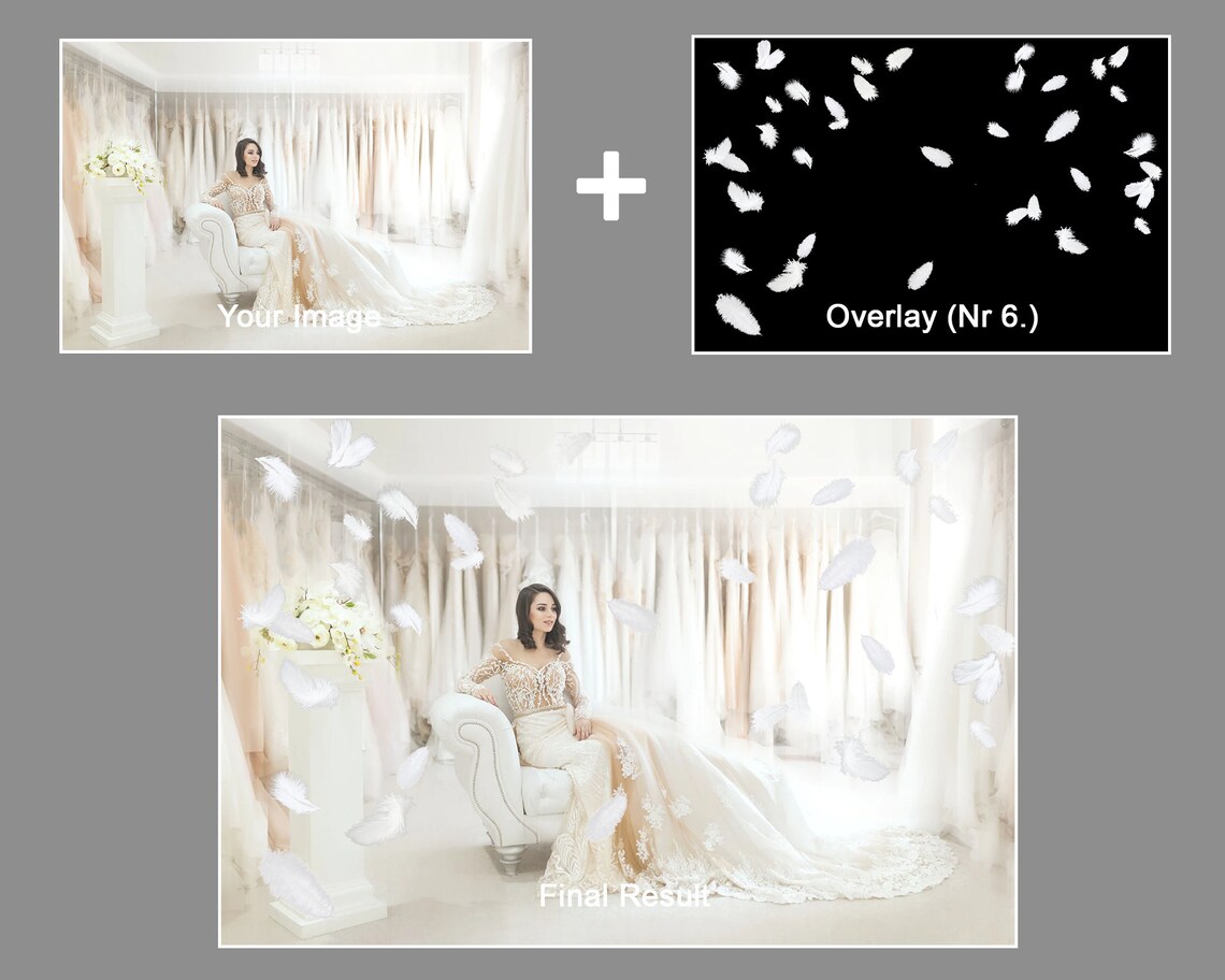 10 Feather Overlays Angel Overlays Flying Feather Overlay | Etsy