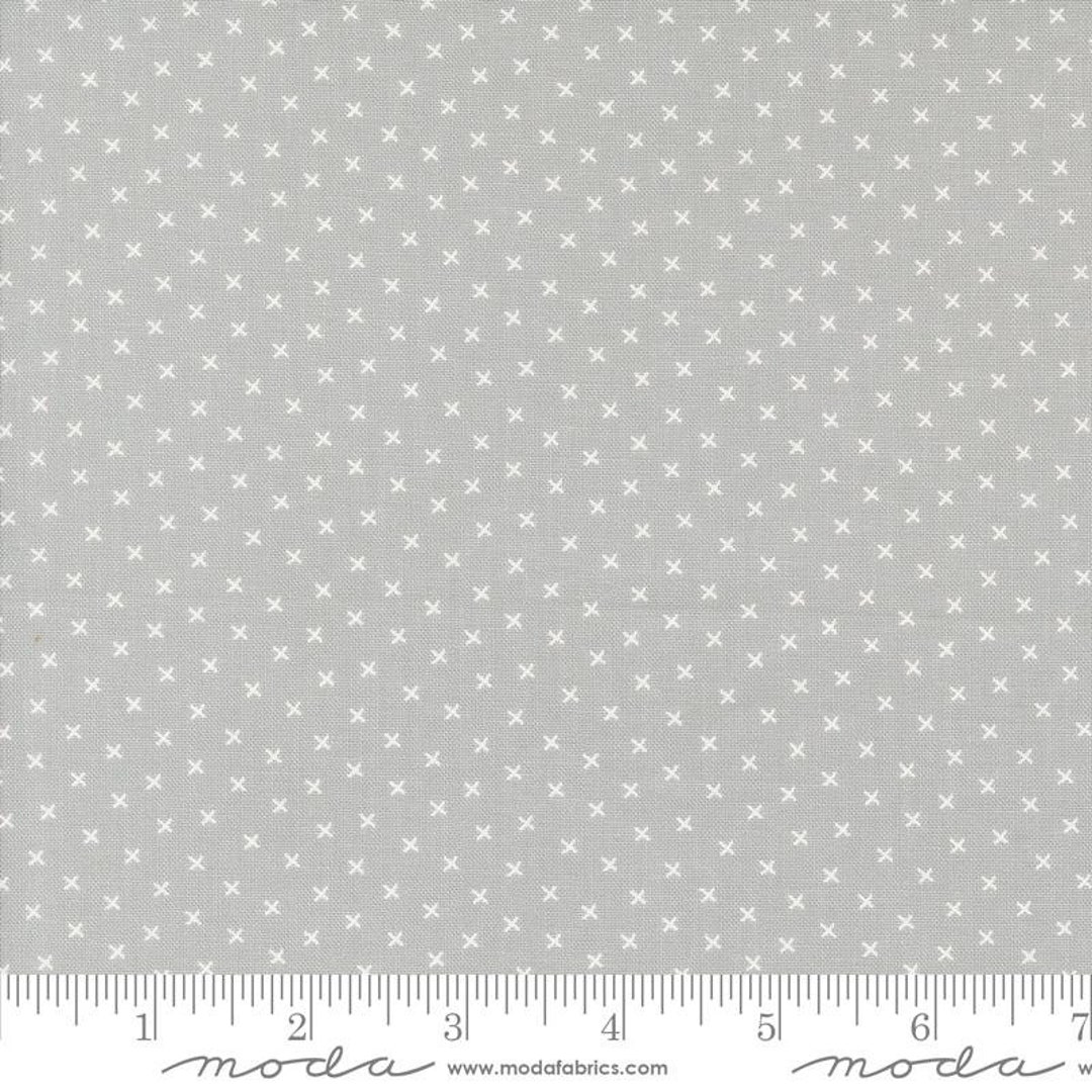 29202 30 Coriander Colors X's Grey by Corey Yoder for Moda Fabrics - Etsy