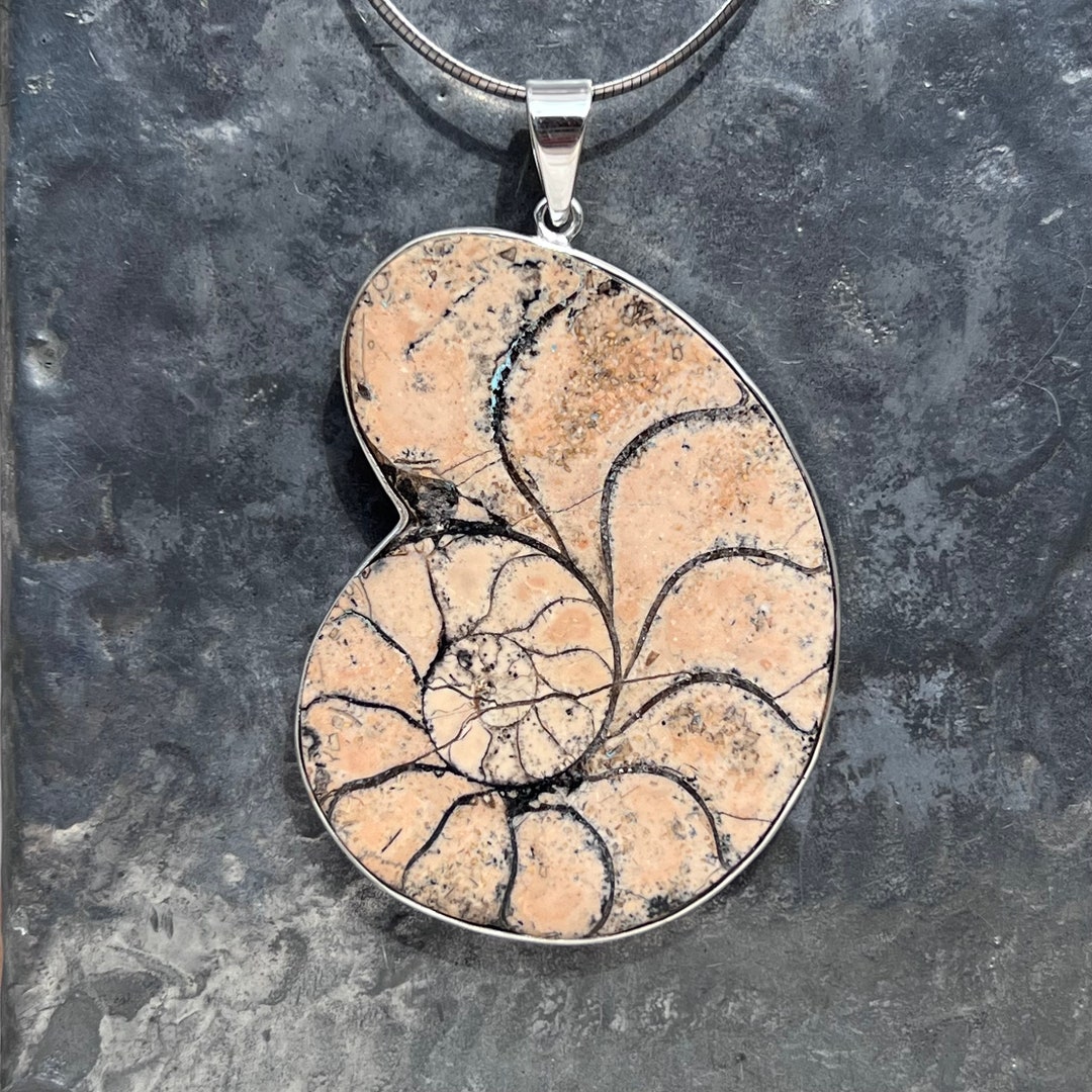 Ammonite Ammolite Pendant - Beautiful Colour Ammonite Pendant - Etsy