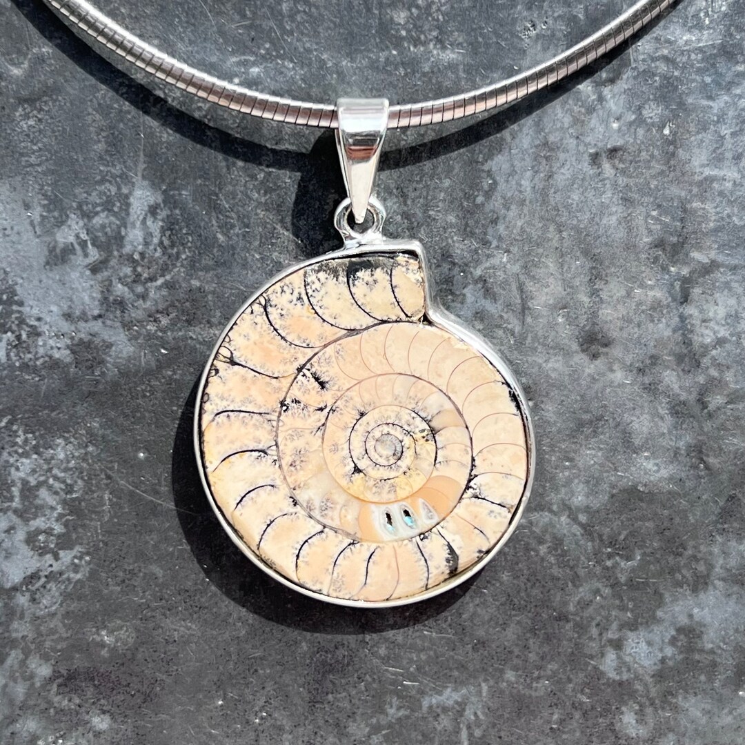 Ammonite Ammolite Pendant - Pink Colour Ammonite Pendant - Etsy