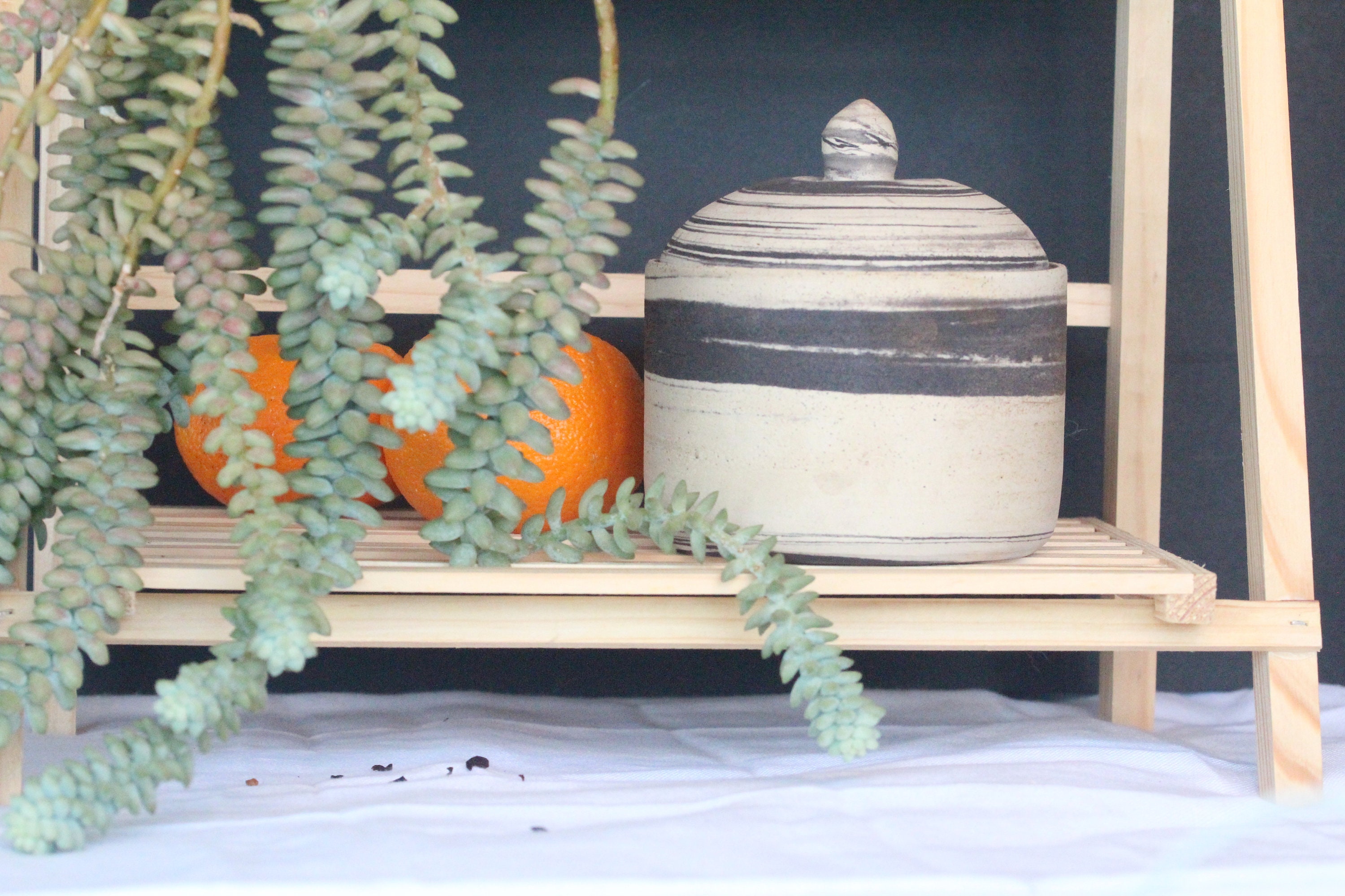 Container With a Lid. Black and White Storage Canister Sets - Etsy