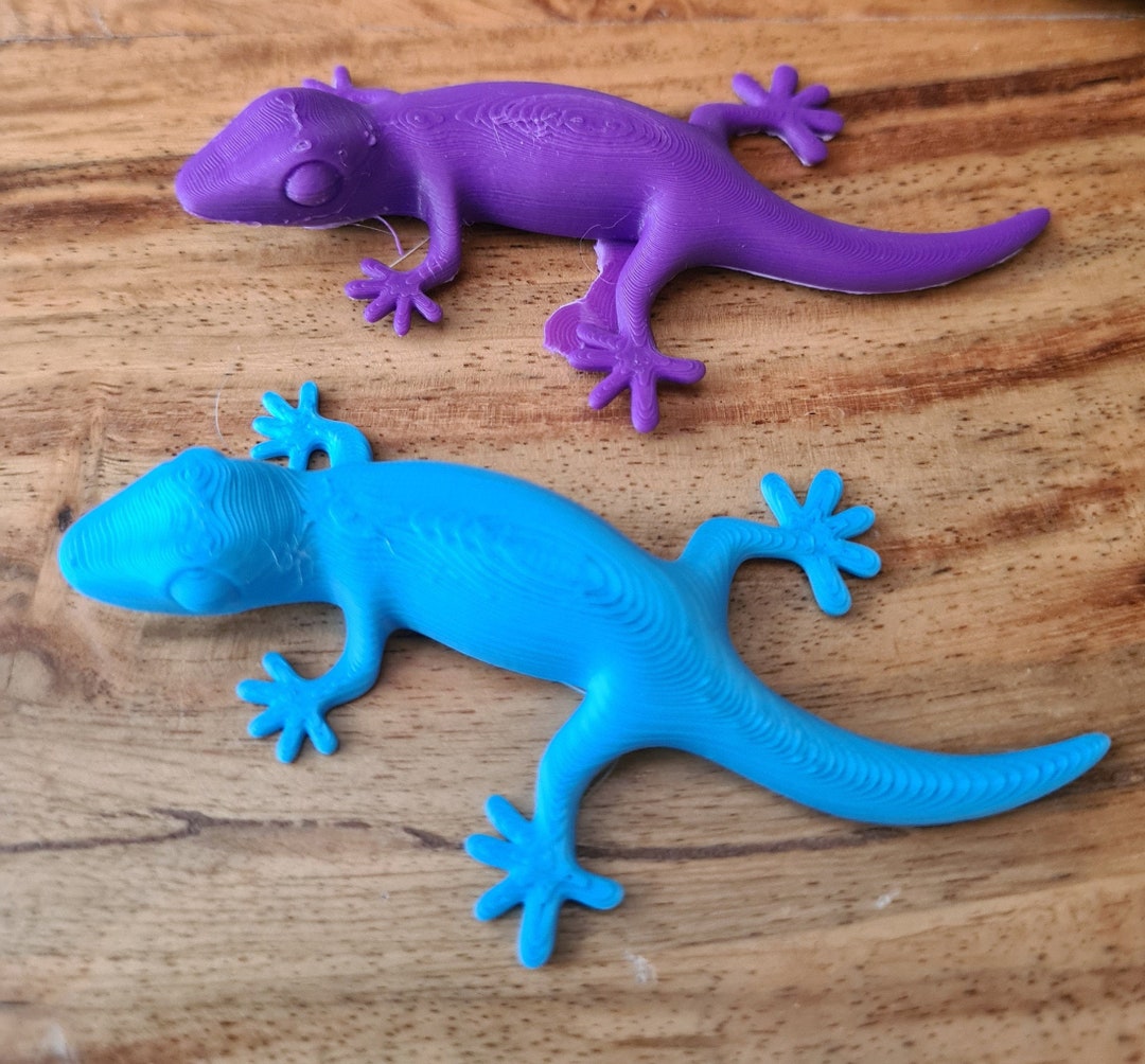 Gecko / Lizard Fridge Magnet - Etsy