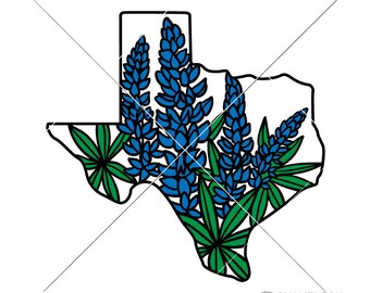 Bluebonnet svg | Etsy