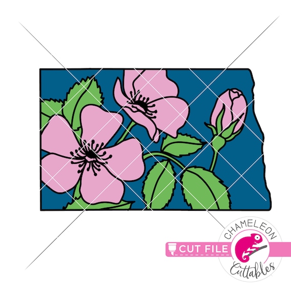 North Dakota State Flower SVG Wild Prairie Rose Png Dxf | Etsy