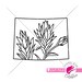 Wyoming State Flower SVG, Indian Paintbrush, Png, Dxf, File for Cutting ...