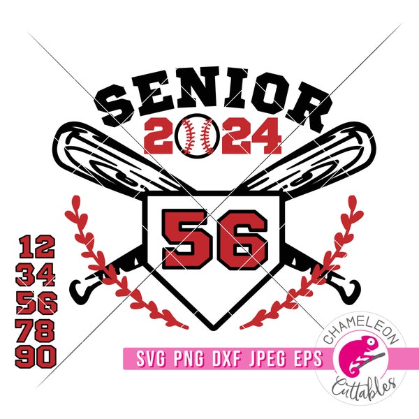 Baseball Senior Gift - 60+ Gift Ideas for 2024