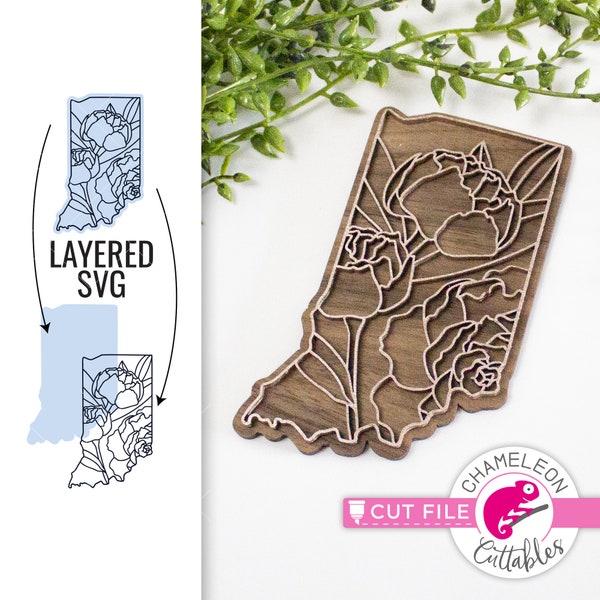 Indiana University Svg - Etsy