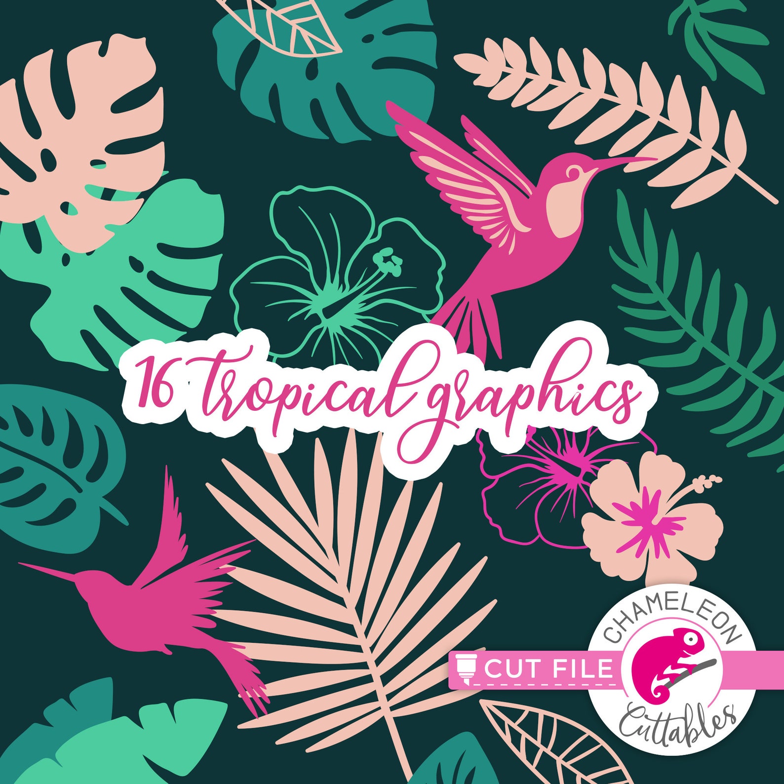 SVG, PNG, DXF, Jpeg, 16 Tropical Graphics, Summer, Birds, Leaves ...
