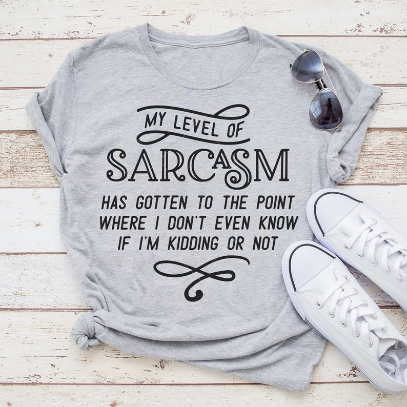 My Level of Sarcasm Has Gotten to the Point Funny File for - Etsy