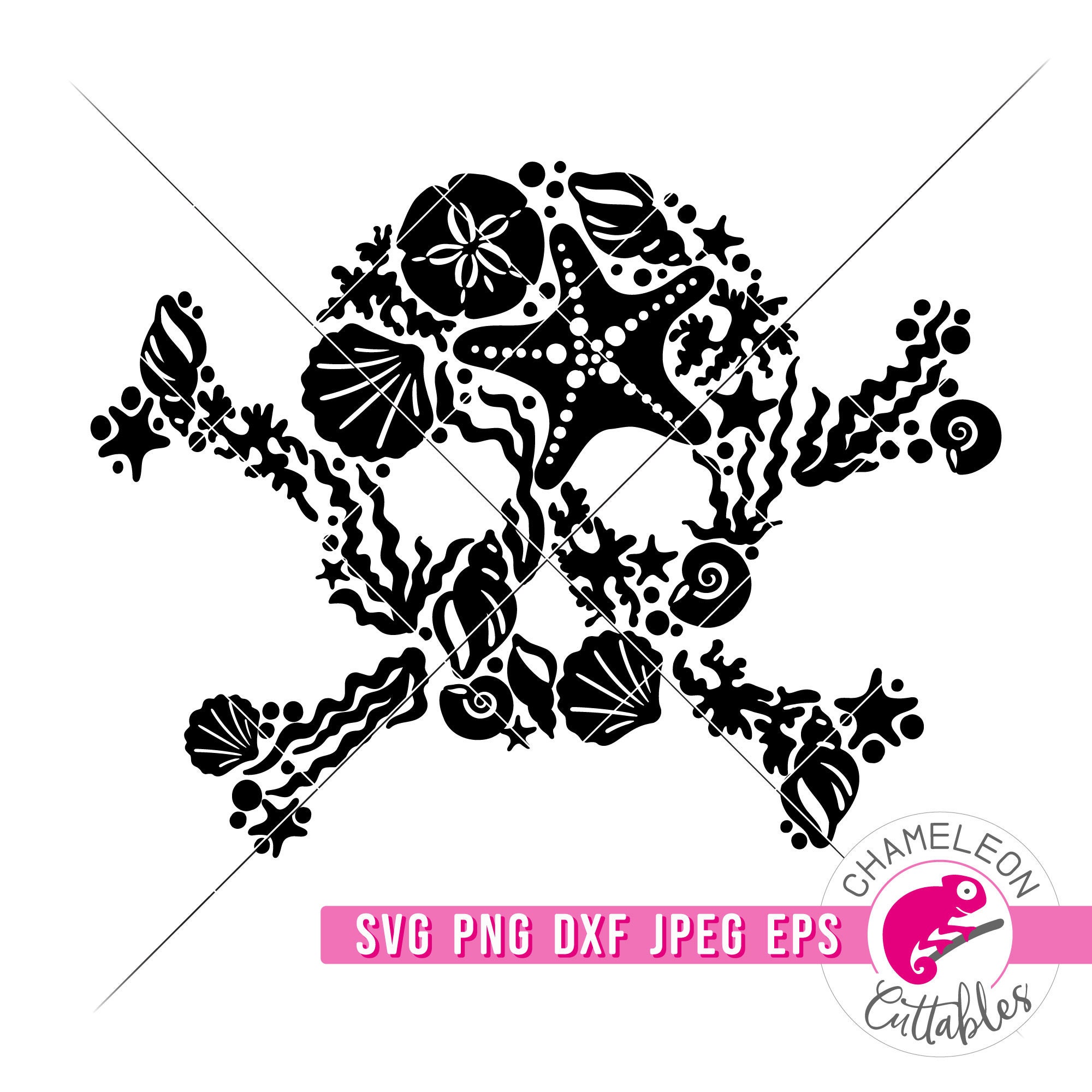 SVG PNG DXF Jpeg Seashell Skull Halloween Beach Design - Etsy
