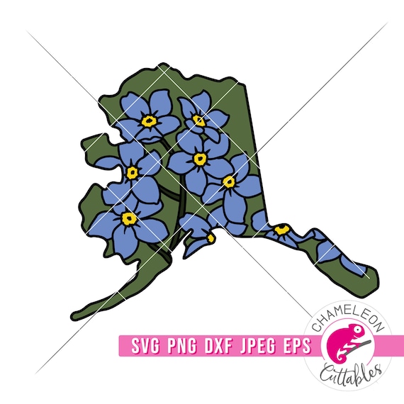SVG PNG DXF Jpeg Alaska State Flower Forget Me Not - Etsy
