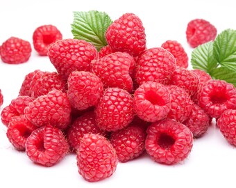 Raspberry Red | Etsy